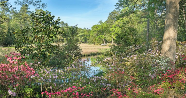 The Breathtaking and Enchanting Gardens at Lisburne – circa 1810 ...