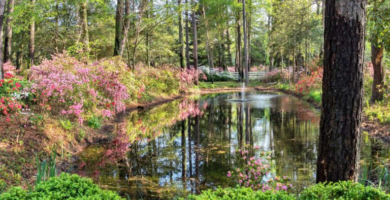 The Breathtaking and Enchanting Gardens at Lisburne – circa 1810 ...