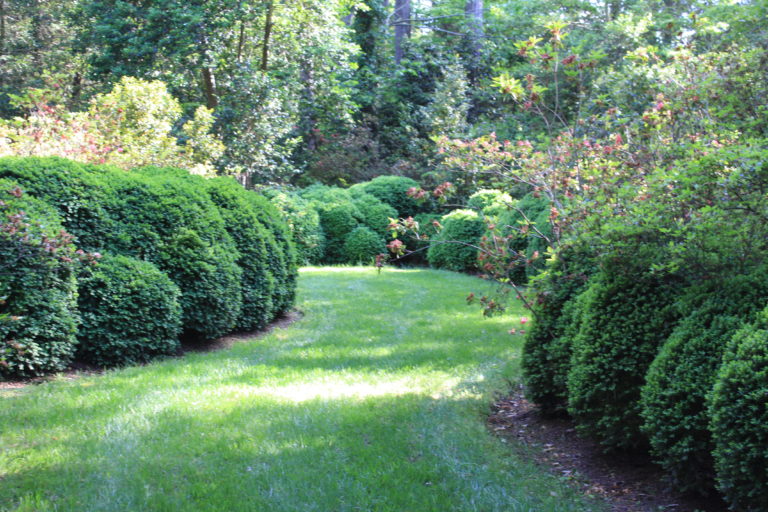 The Breathtaking and Enchanting Gardens at Lisburne – circa 1810 ...
